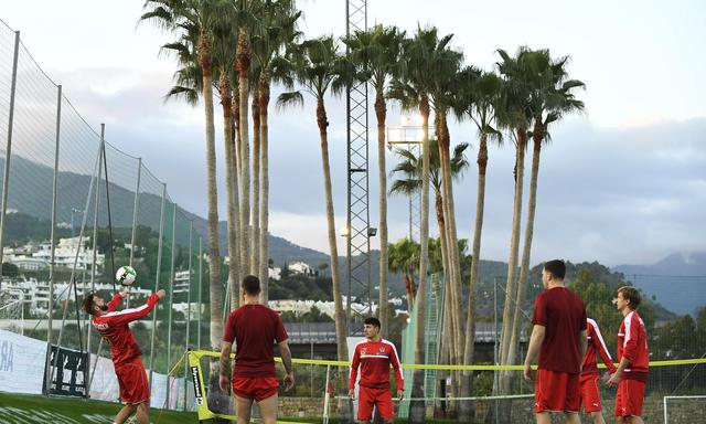 Training unter Palmen: ÖFB-Team feilscht an der EM-Taktik | DiePresse.com